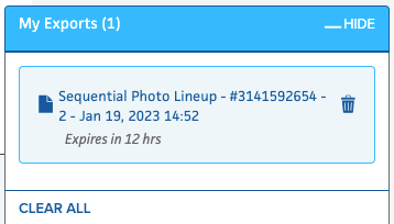 Navigating the Photo Lineups Tab