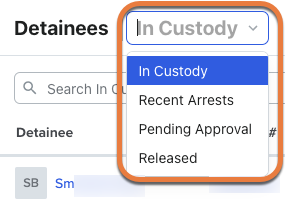 Understanding the Detainees Tab Workflows